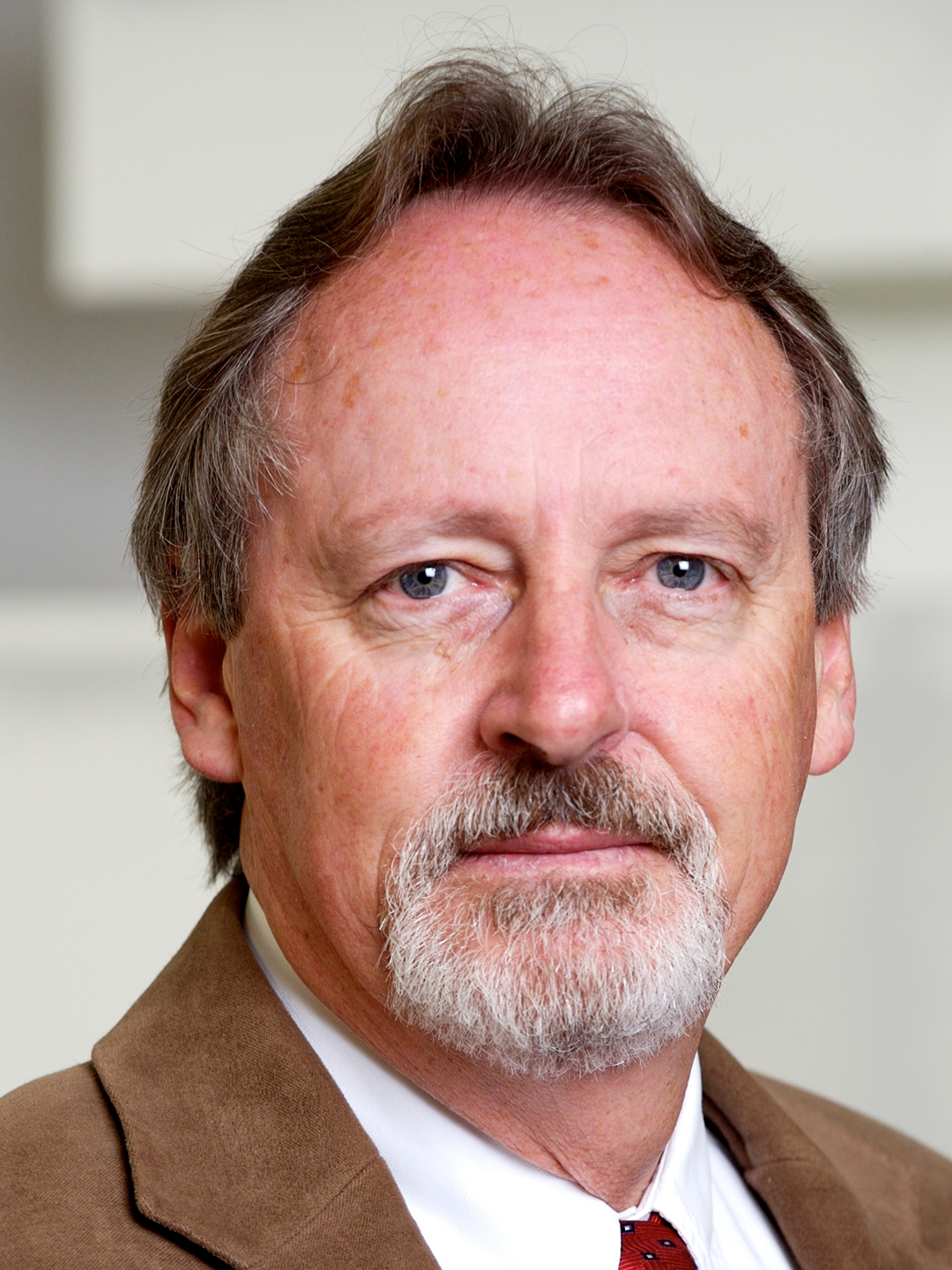 Stephen Dinham | Robert Bosch Academy